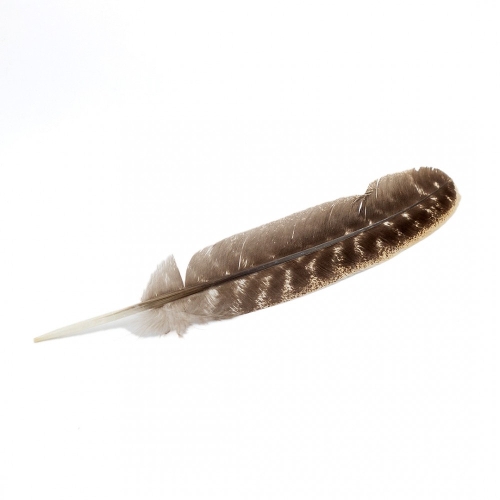 Plume de fumigation, plume d'oie, plume smudge